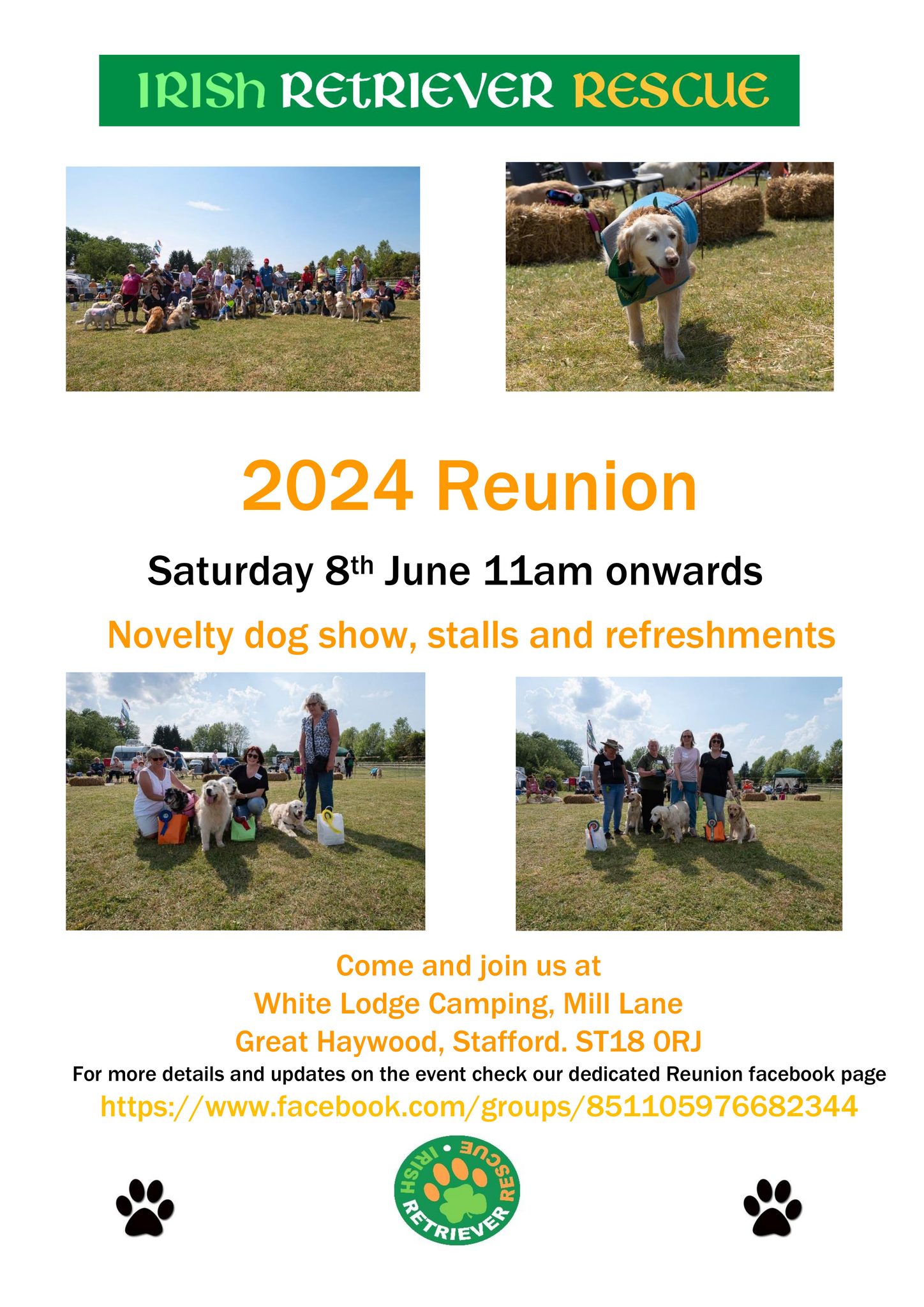 2024 IRR Reunion – Irish Retriever Rescue